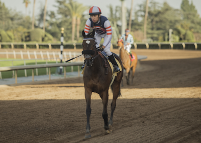 Horse Racing Partnerships 101: How do Owners Pick a Jockey?